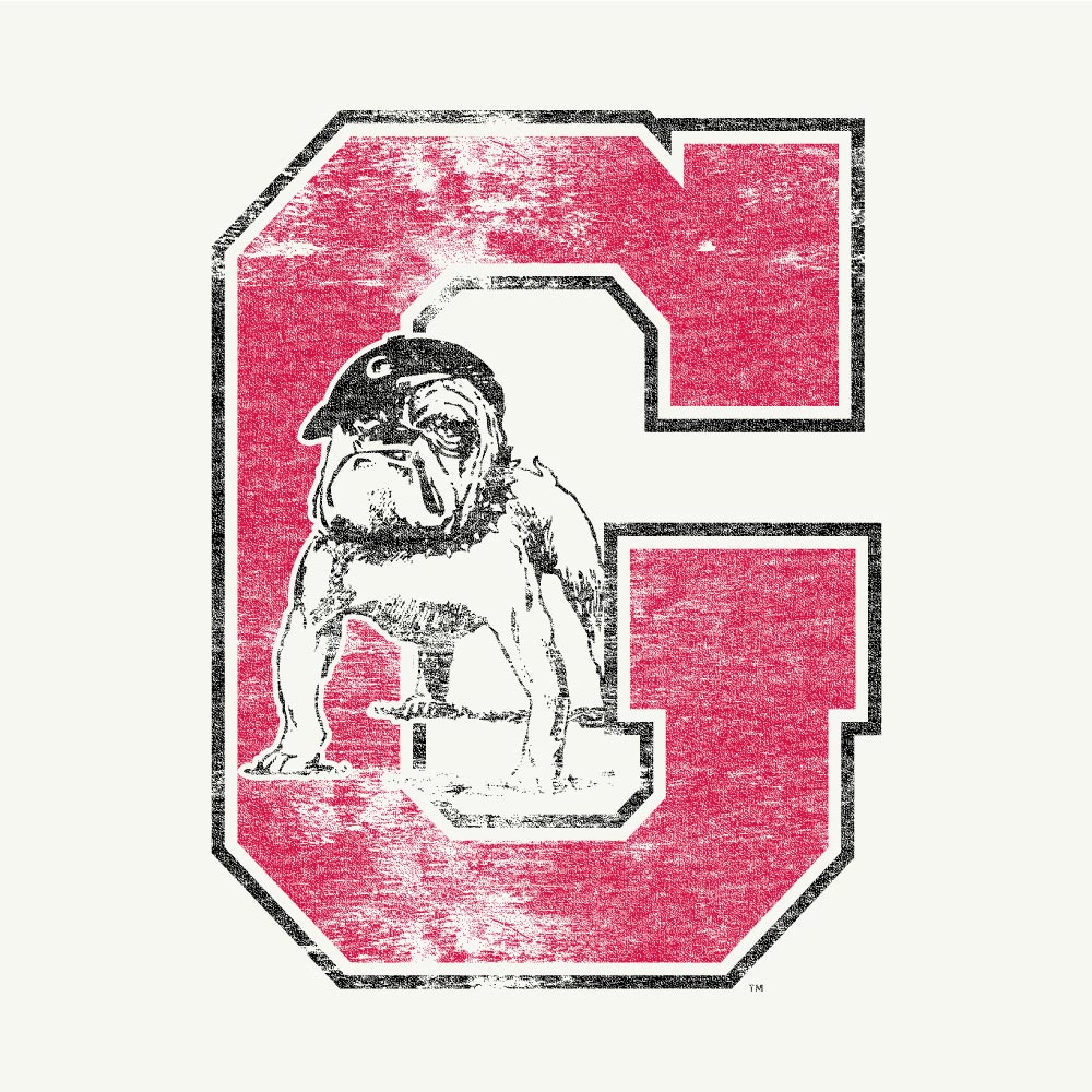 CHAMPION UGA Block G Tri-Blend T-Shirt – The Red Zone- Athens, GA