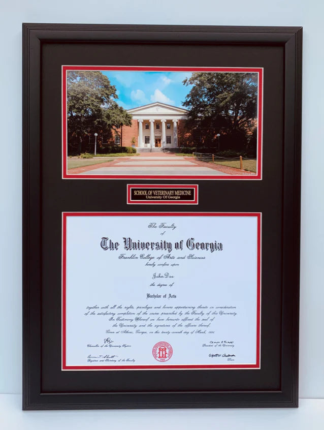 UGA Diploma Frame - Vet – The Red Zone- Athens, GA